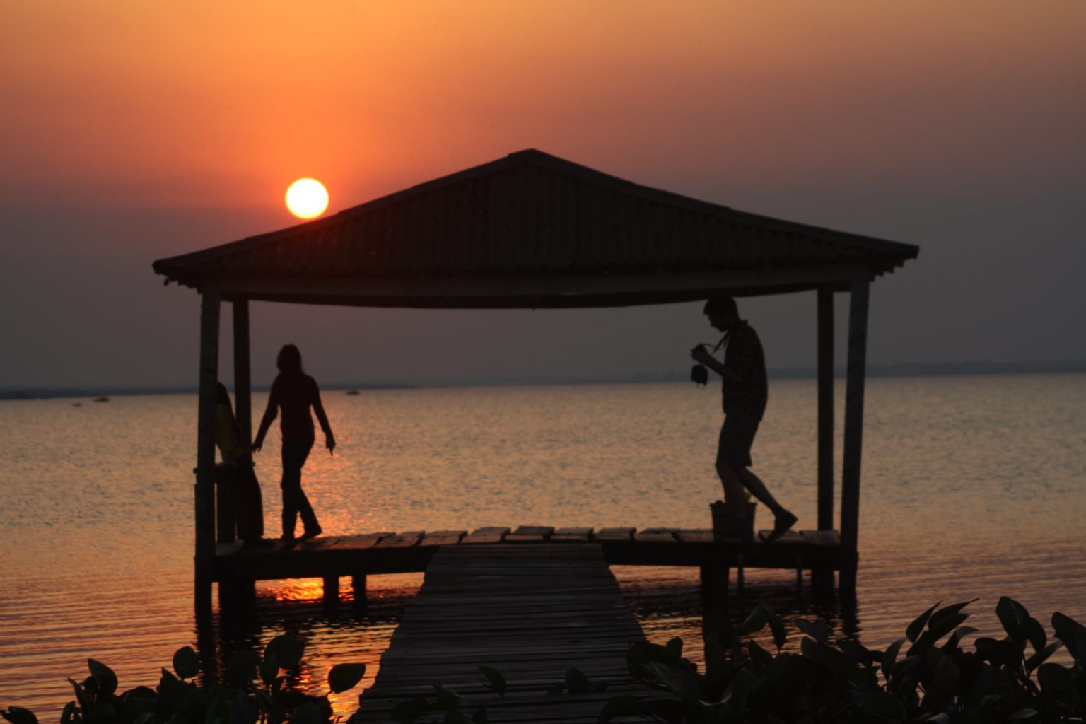 Conoce el Parque Nacional Río Pilcomayo en Formosa, uno de los más ...