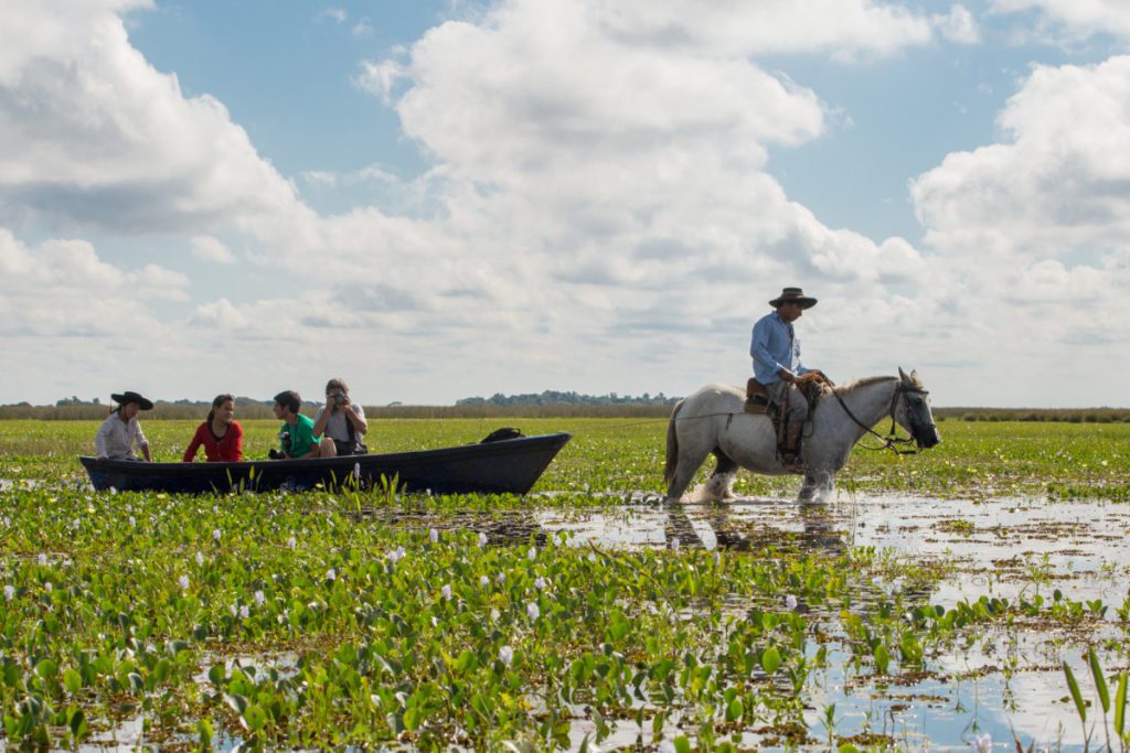 El Parque Iberá reabre sus portales: ¿cómo llegar y qué actividades ...