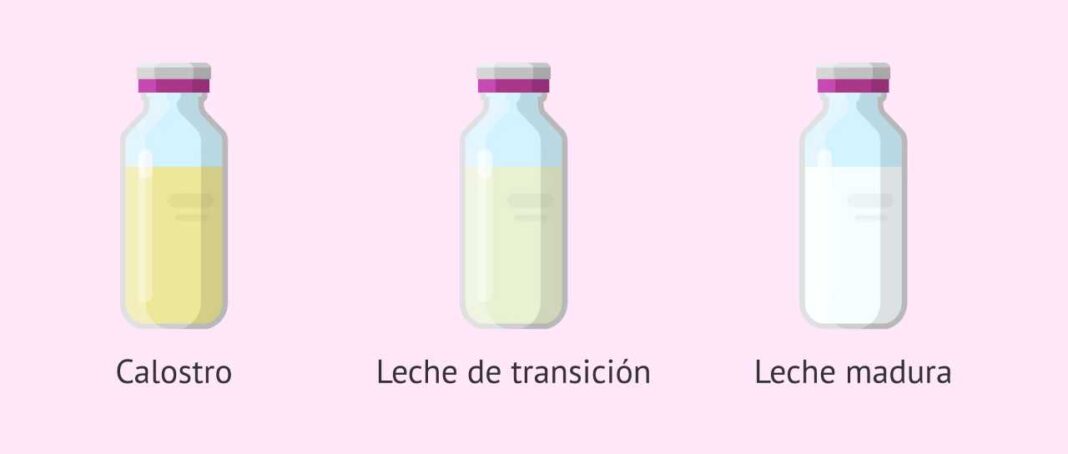 Semana Mundial de la Lactancia Materna: el NEA lidera en el primer acto ...